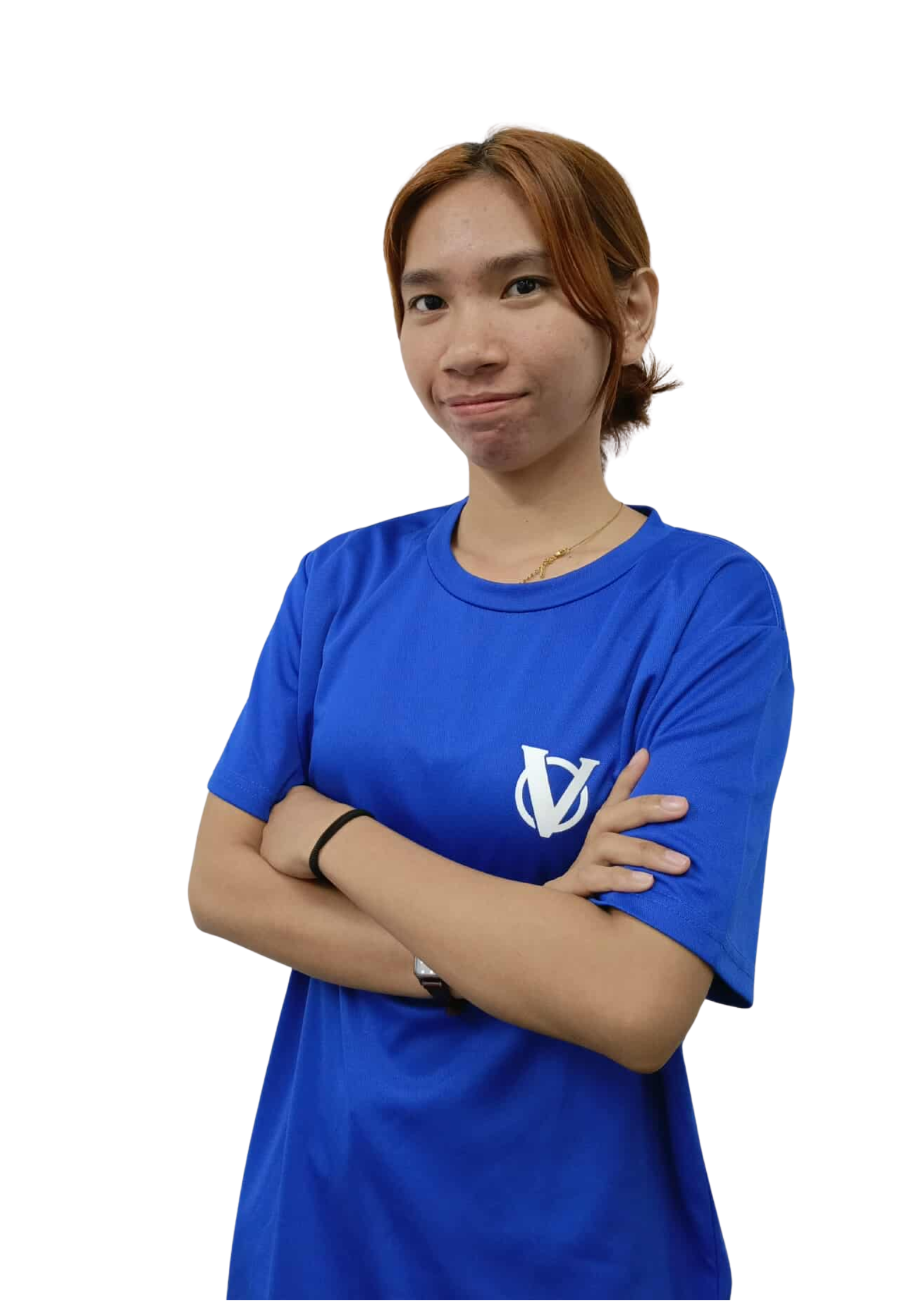 Vigattin Insurance Agent